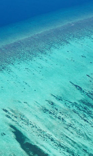 Our guide to the middle of the Indian Ocean, the Maldives | Black Tomato